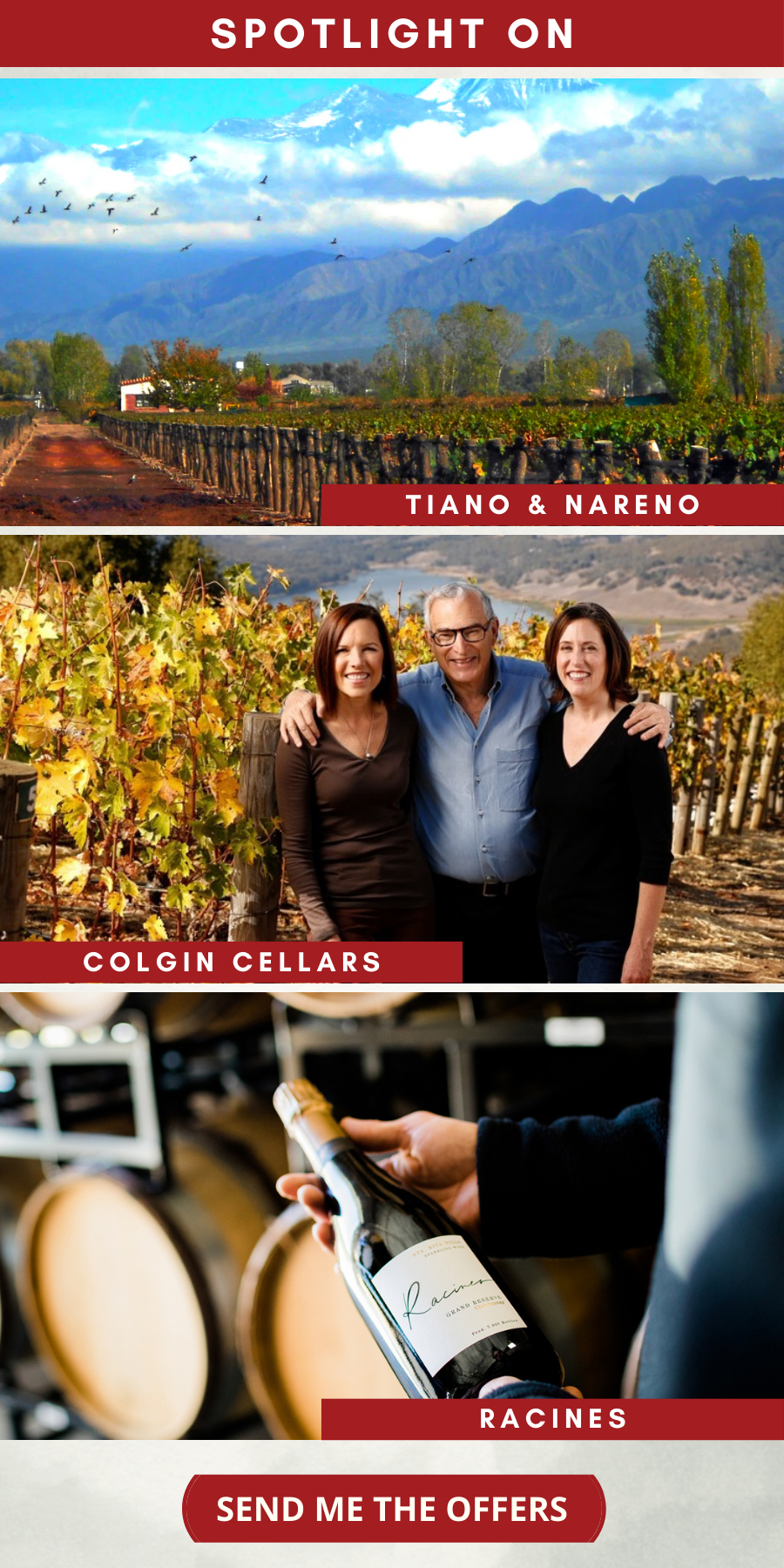 The Vintage Wine Club